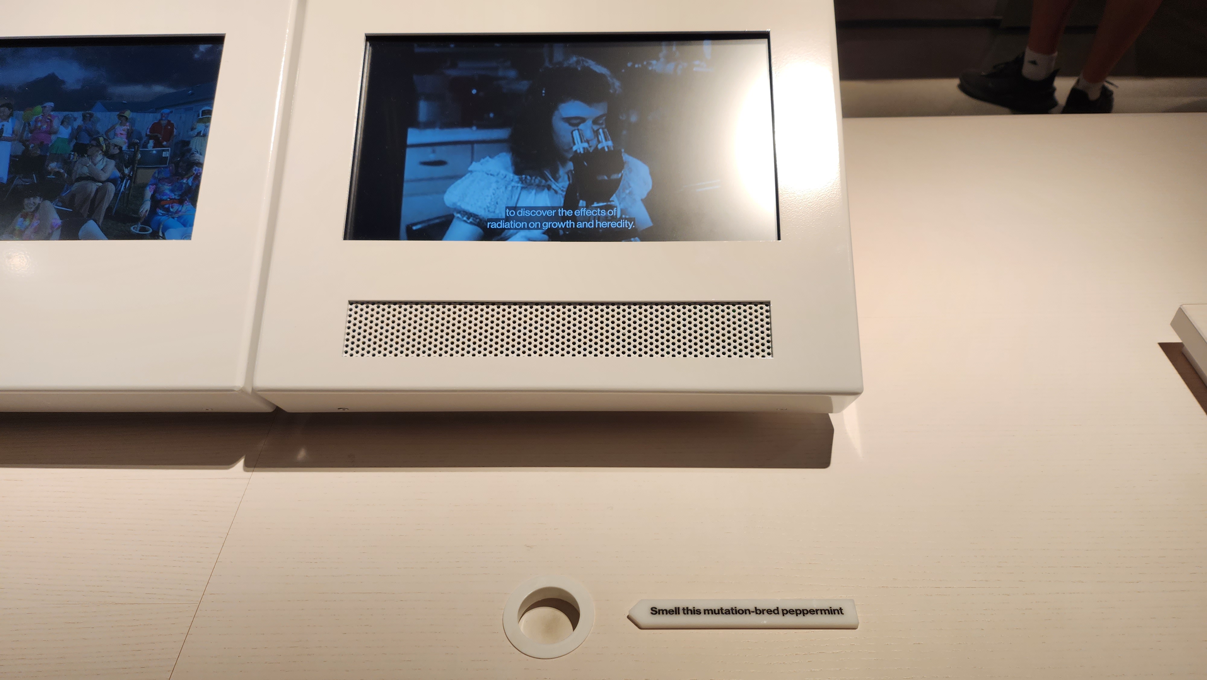 Fragrant exhibits at the MIT Museum – Nose Prose